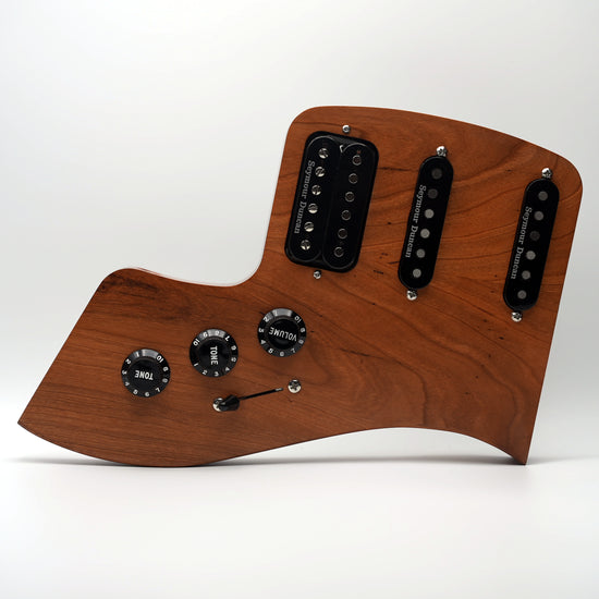 HSS Module – Fern Guitars