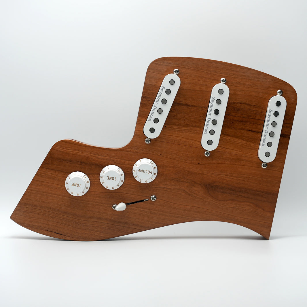 Modules – Fern Guitars